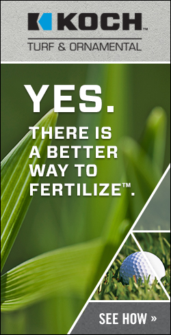 PROKOZ AVALON™ Insecticide | Prokoz - Creating Value