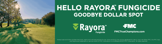 Prokoz - Creating Value